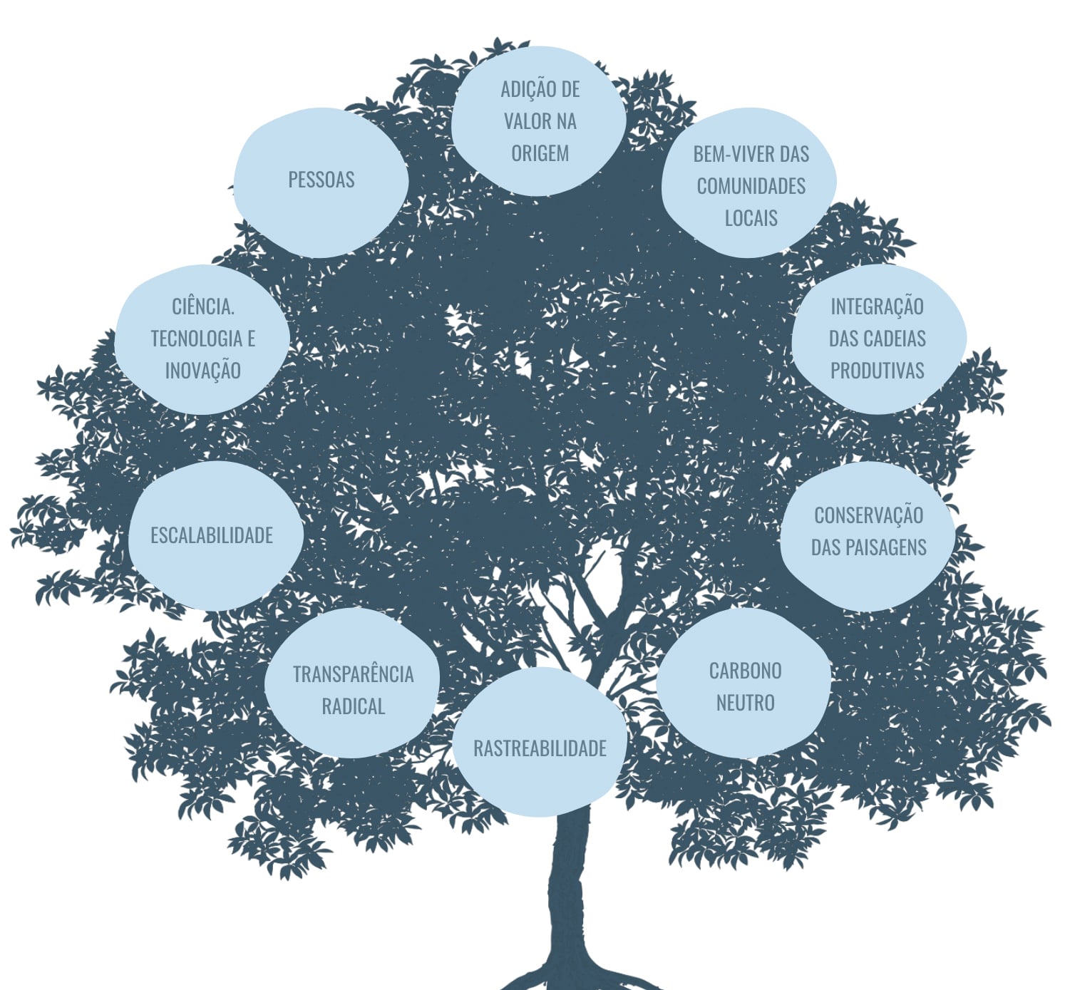 CBKK - Celo de Bonsato Kaj Konservado - CBKK